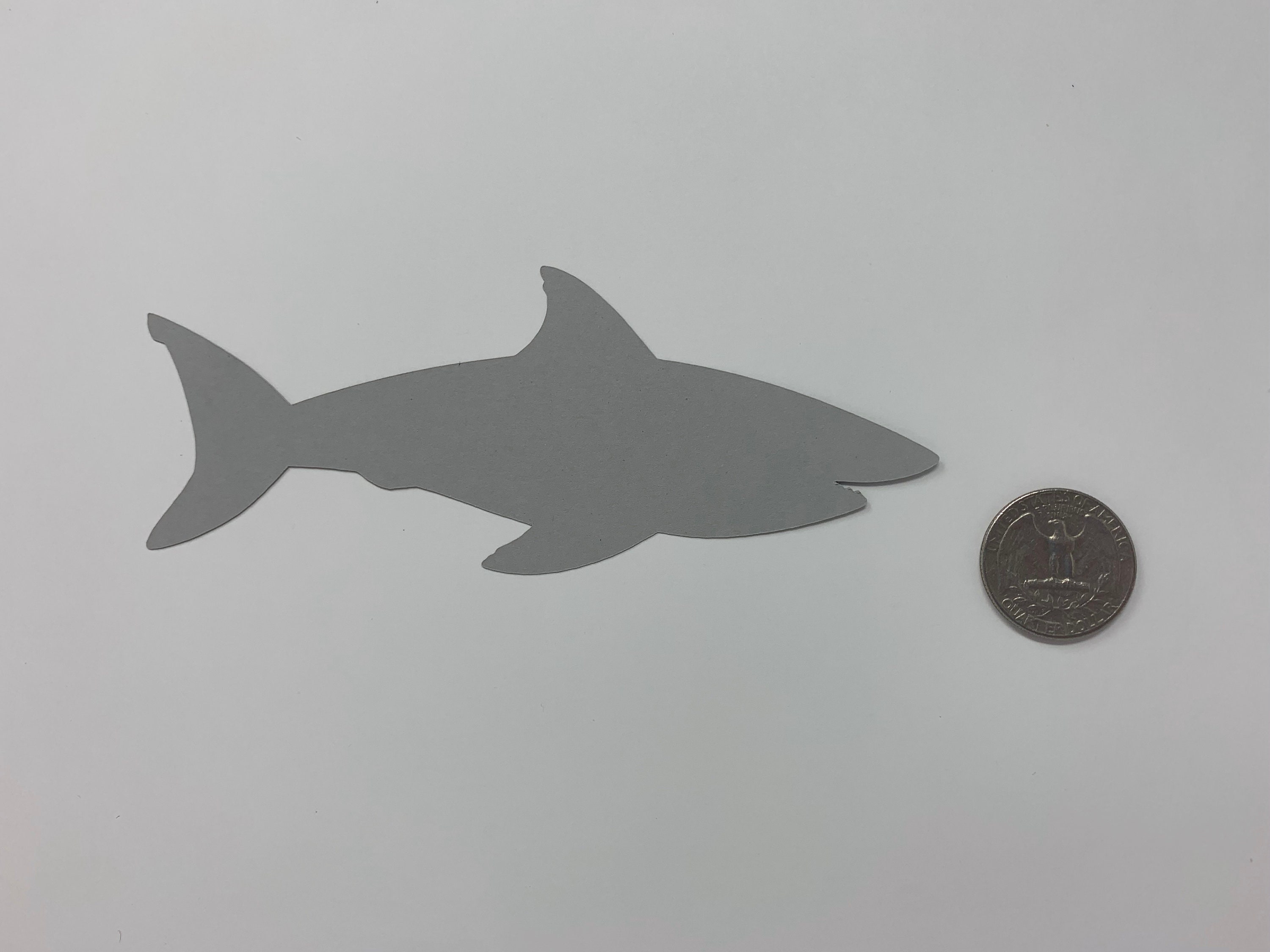 Shark Die Cuts - Shark Party Supplies - Shark Cut Outs - Animal Die ...