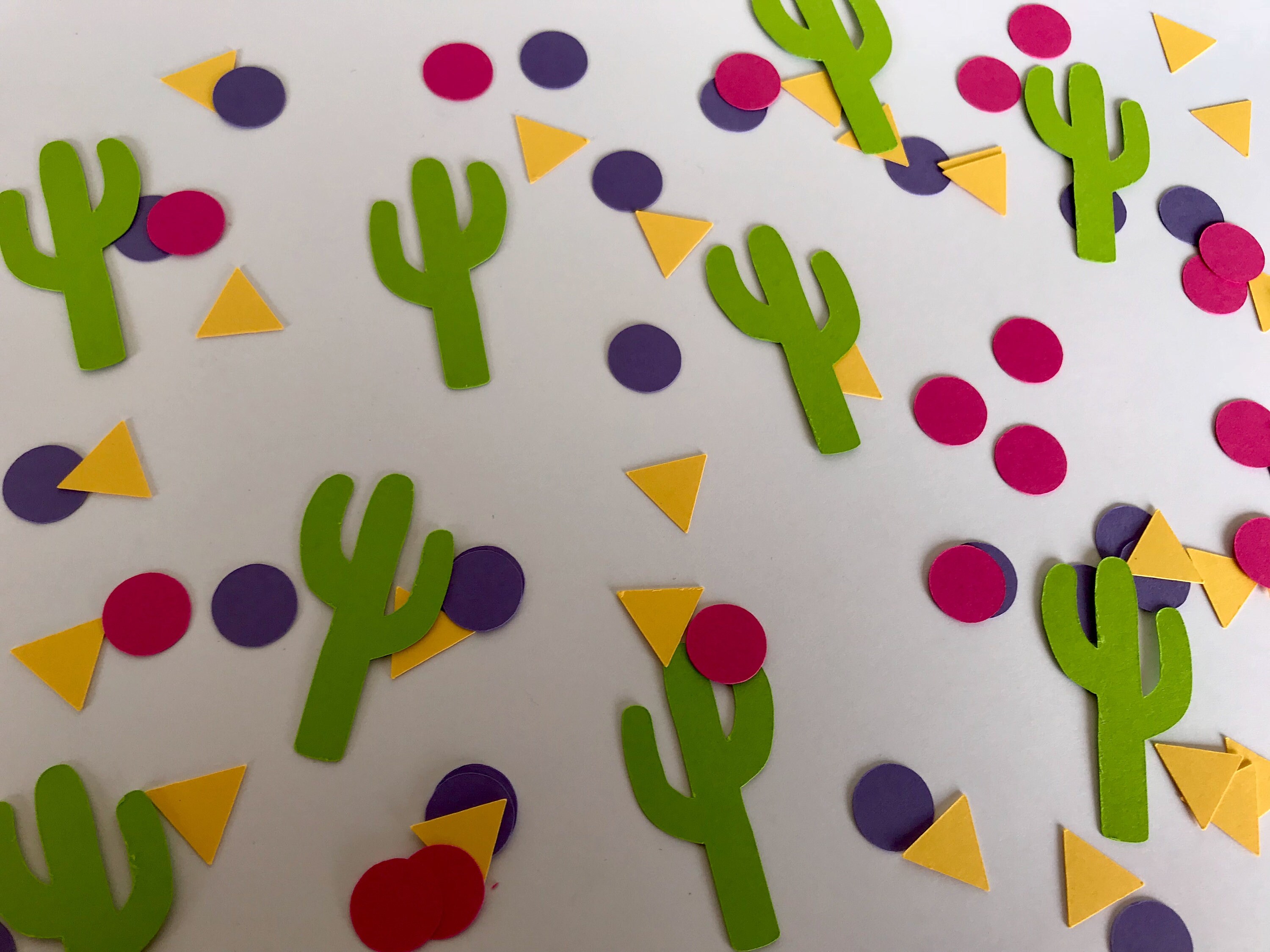 Cactus Confetti - Fiesta Confetti - Southwest Party Confetti - Mexican ...