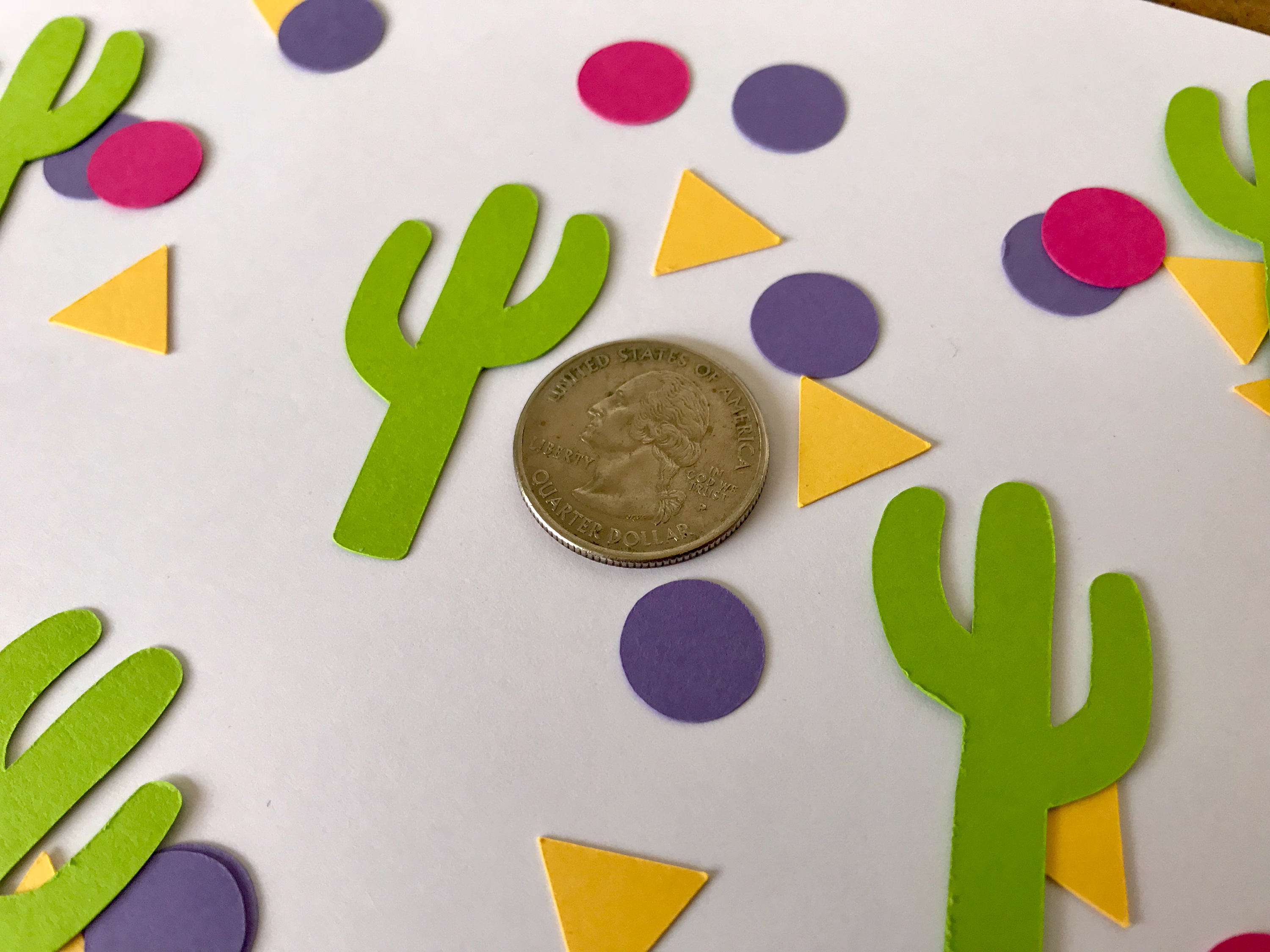 Cactus Confetti Fiesta Confetti Southwest Party Confetti | Etsy