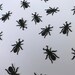 Ant Confetti - Insect Confetti - Bug Party Decor - Insect Birthday ...