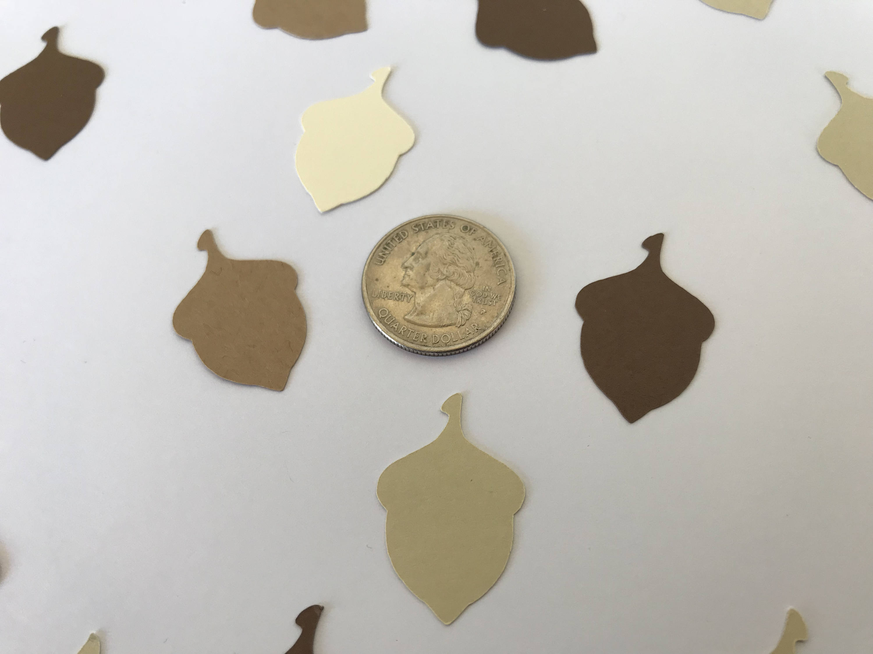 Acorn Confetti Woodland Creatures Confetti Woodland Baby - Etsy