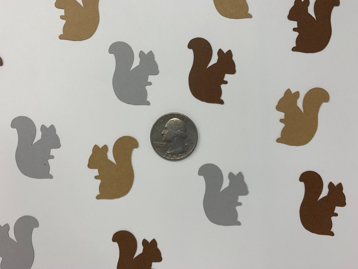 Squirrel Confetti - Squirrel Decorations - Woodland Creatures Baby ...