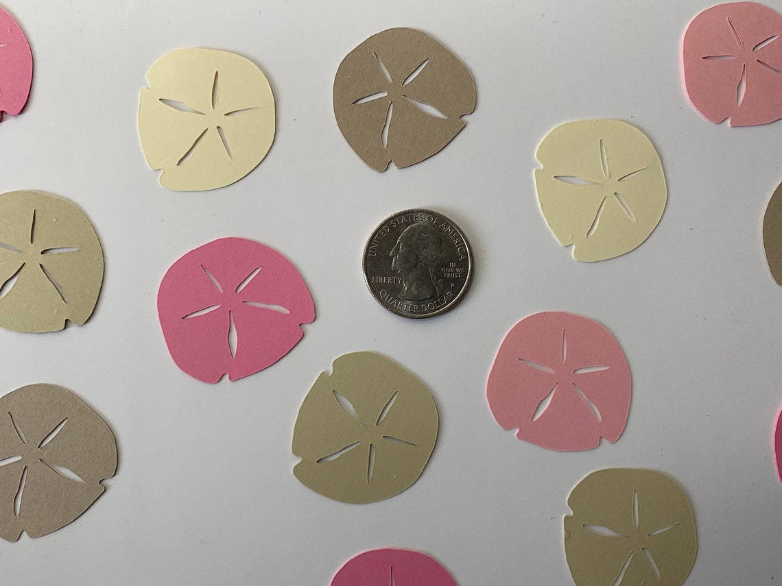 Pink Sand Dollar Confetti Beach Themed Sand Dollars Beach - Etsy