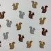Squirrel Confetti Squirrel Decorations Woodland Creatures Baby Shower ...