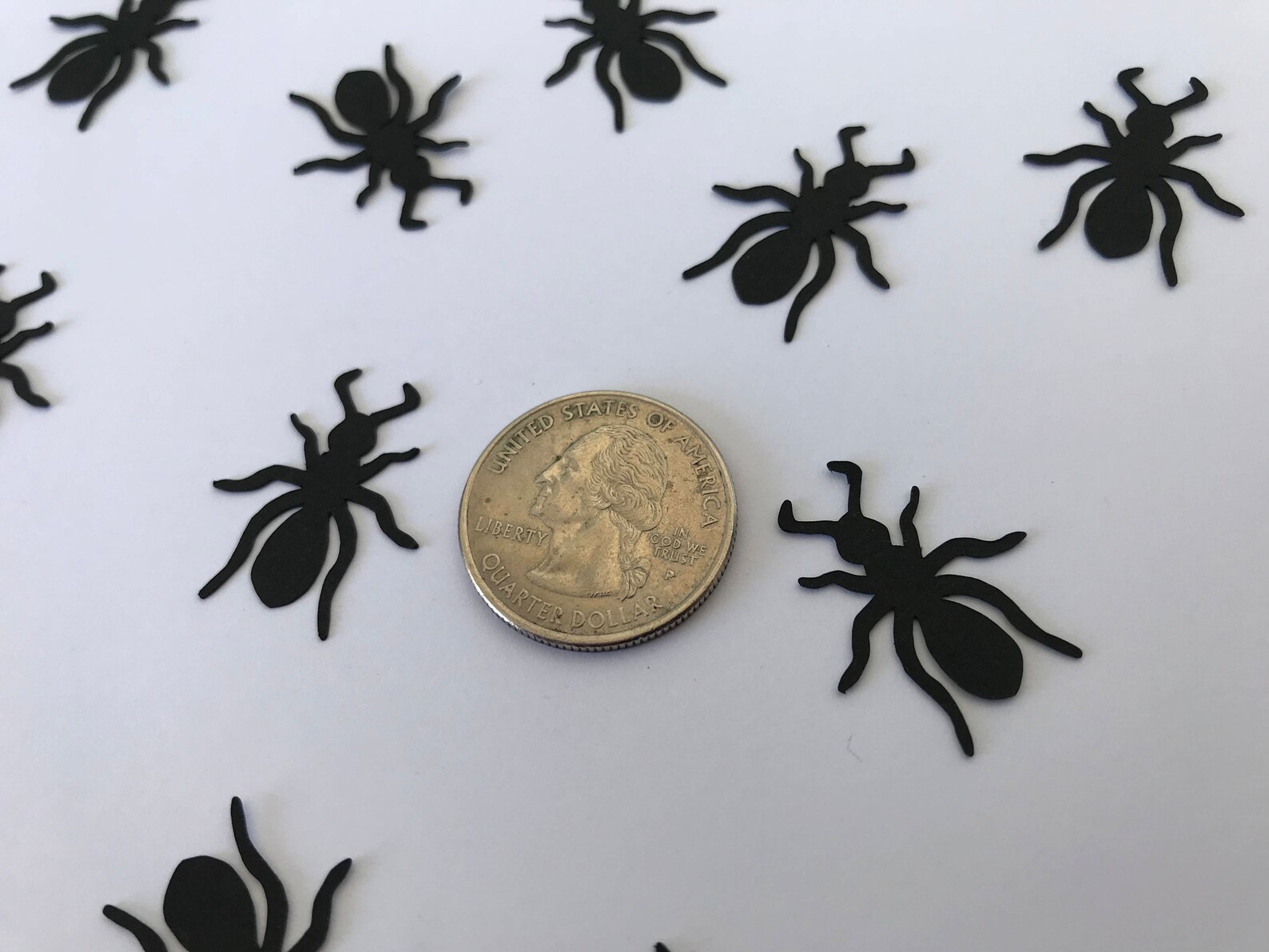 Ant Confetti Insect Confetti Bug Party Decor Insect - Etsy