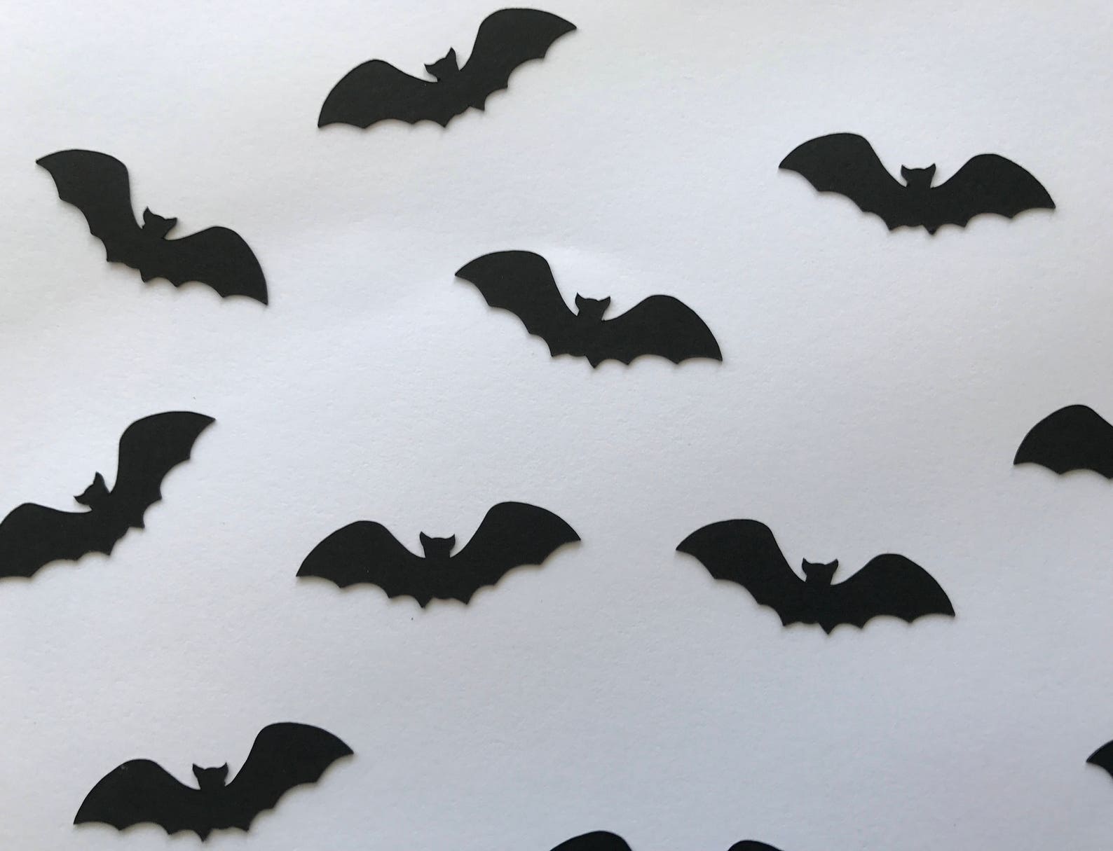 Black Bat Confetti Bat Confetti Halloween Confetti - Etsy