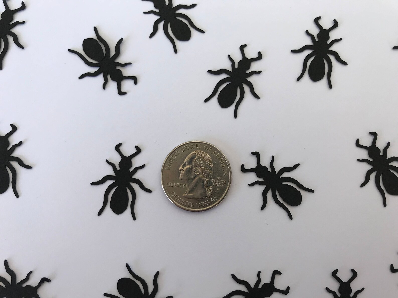 Ant Confetti Insect Confetti Bug Party Decor Insect - Etsy