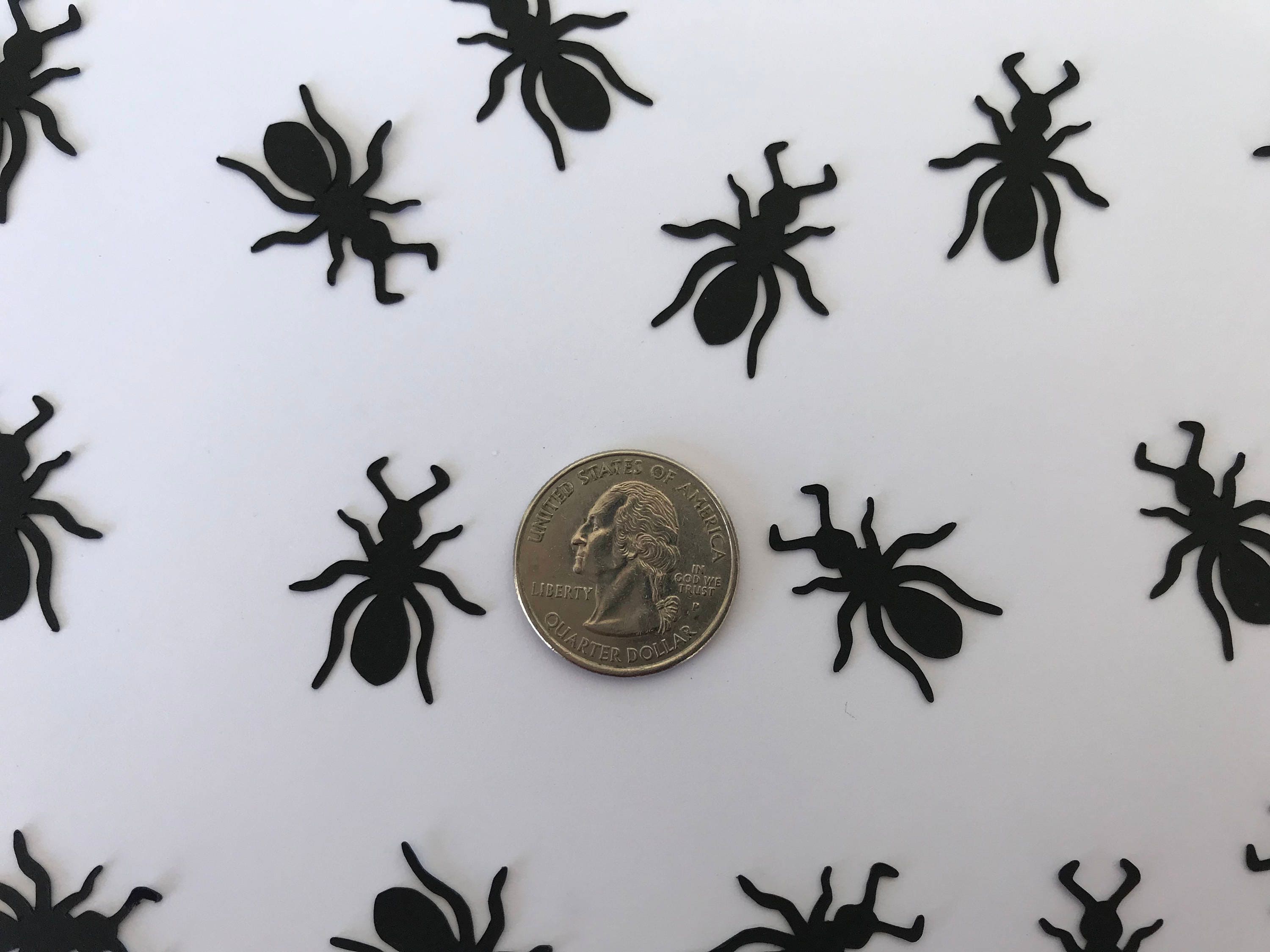Ant Confetti Insect Confetti Bug Party Decor Insect - Etsy