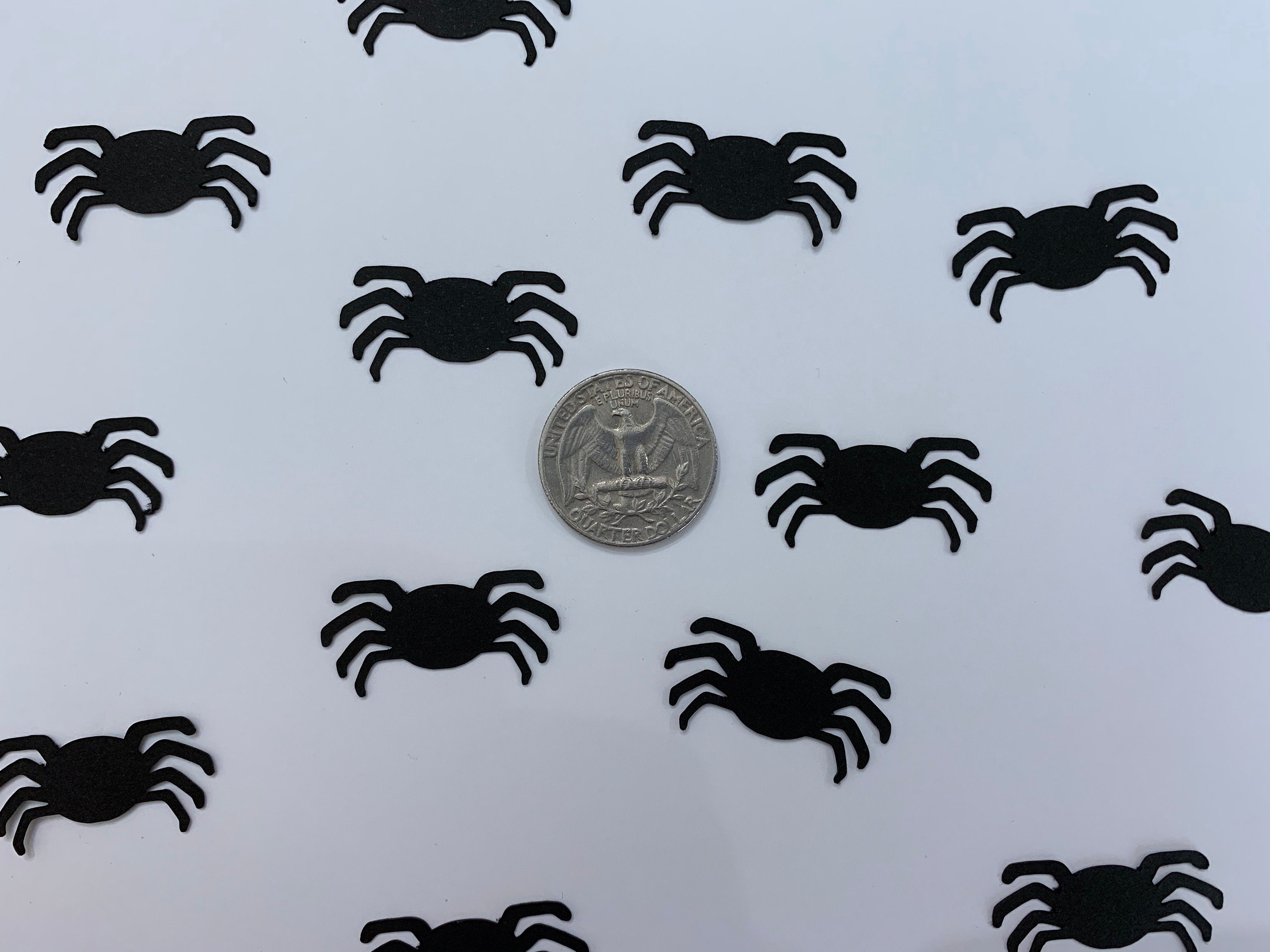 Black Spider Confetti Spider Confetti Halloween Decor | Etsy