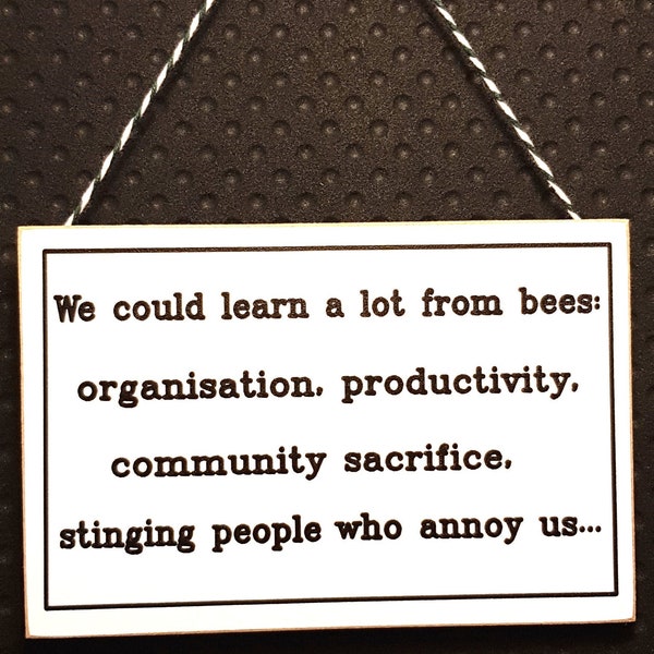 Funny Plaque - Etsy UK