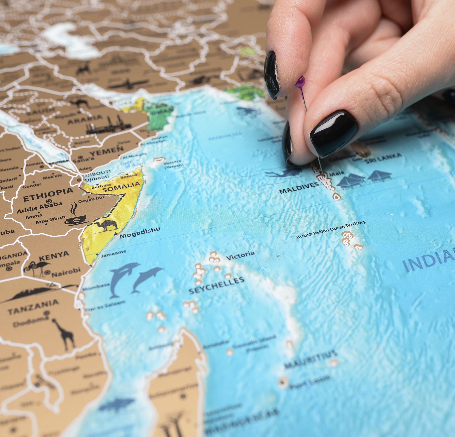 World Map Scratch off Travel Map Poster With Push Pins Wall | Etsy