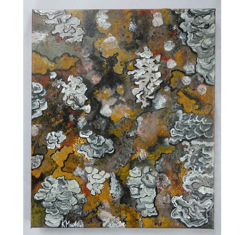 Lichen Acrylic Painting on Canvas - Etsy