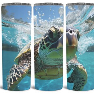 Sea Turtle Swimming in Tropical Water - Stainless Steel Hot or Cold ...