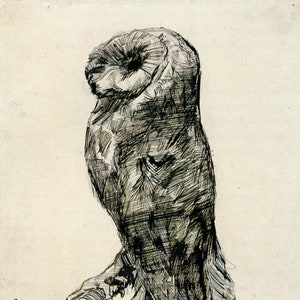 Vincent van Gogh Barn Owl Viewed from the Side 1887 | Etsy