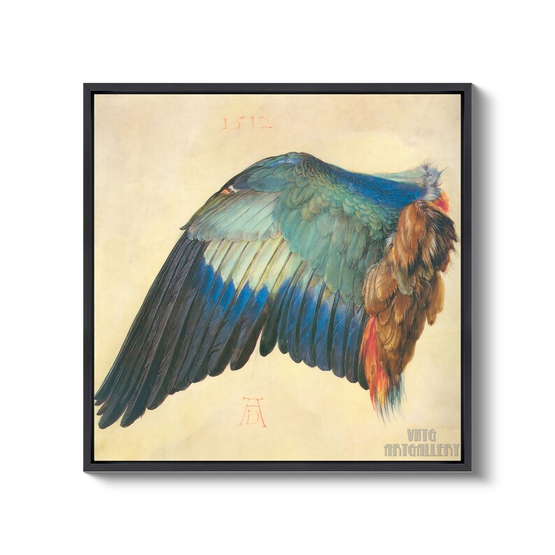Albrecht Dürer : Wing of a Blue Roller 1512 Canvas Gallery - Etsy