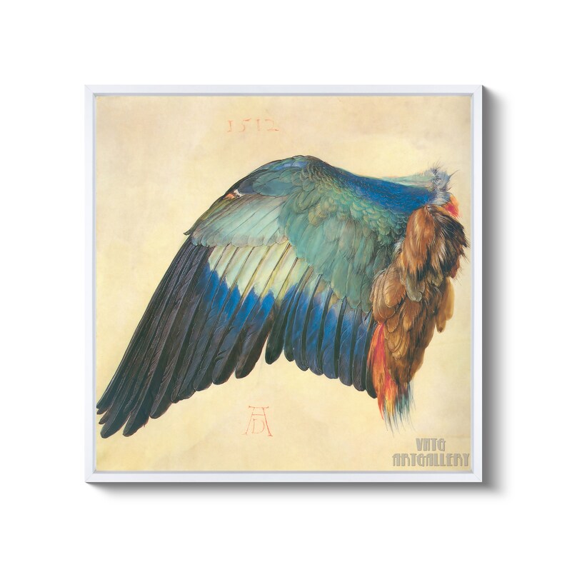 Albrecht Dürer : Wing of a Blue Roller 1512 Canvas Gallery - Etsy