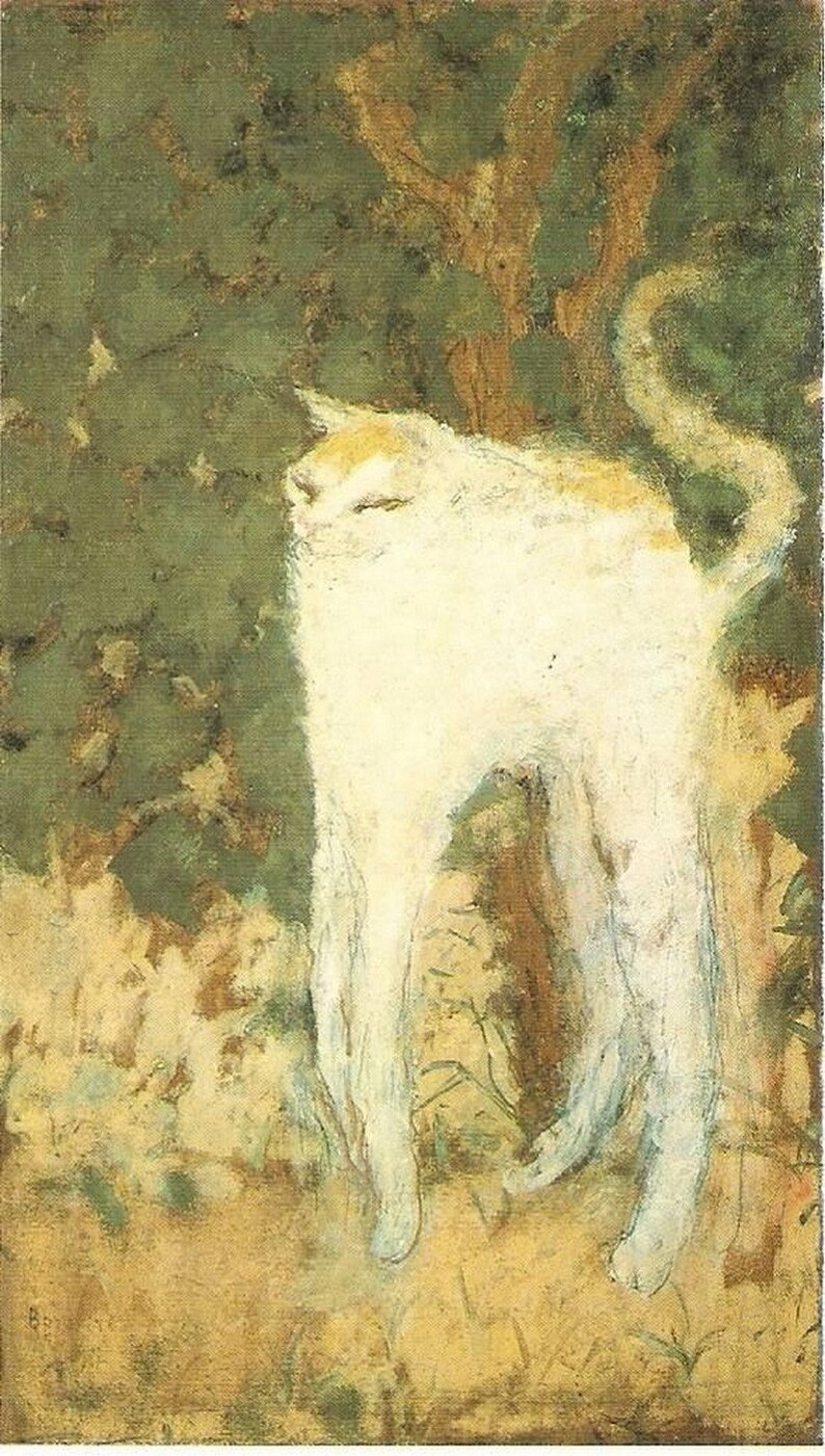 Pierre Bonnard the White Cat Le Chat Blanc 1894 Canvas | Etsy
