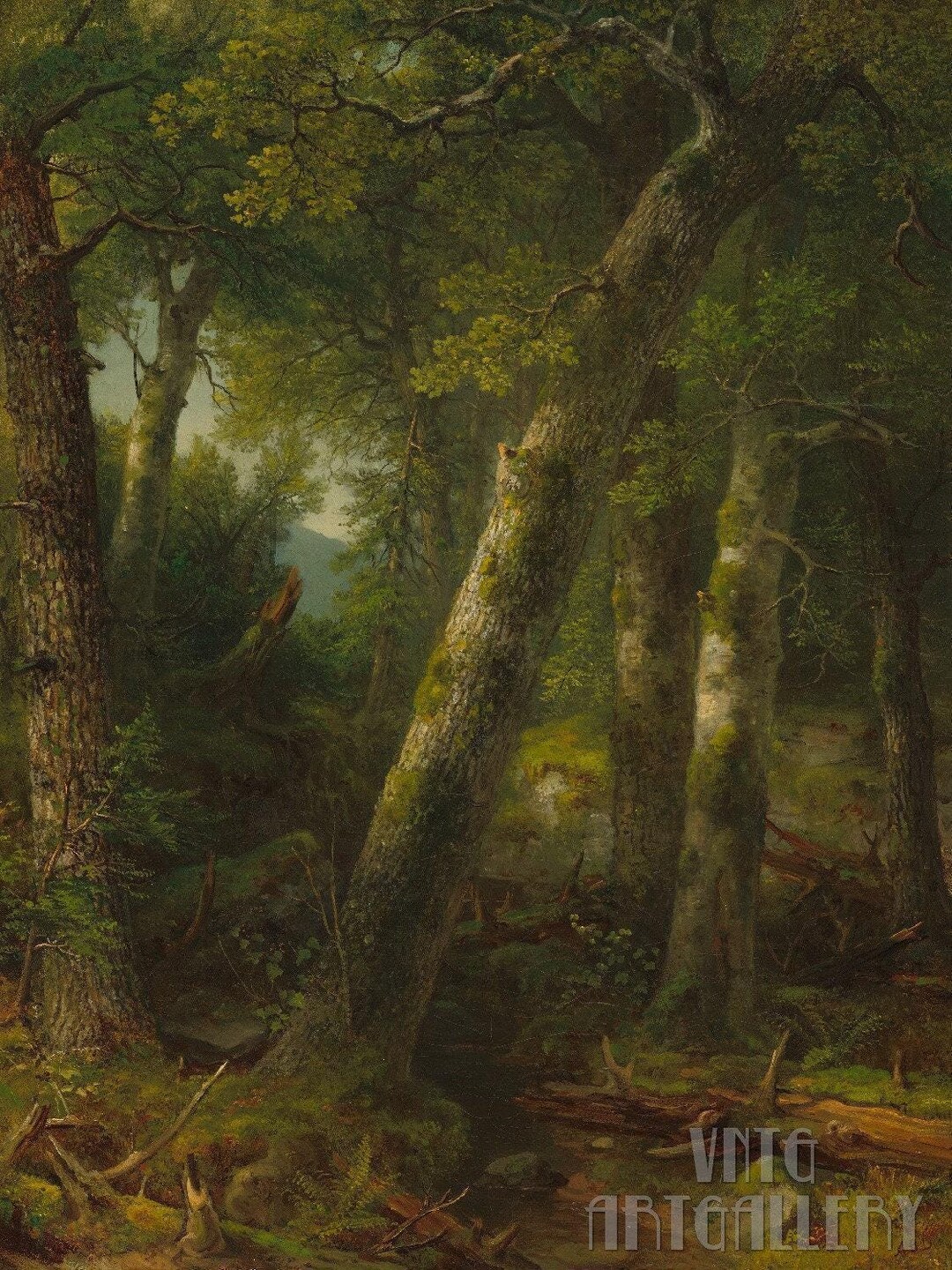 Asher B Durand : Forest in Morning Light (1855) Canvas Gallery Wrapped ...