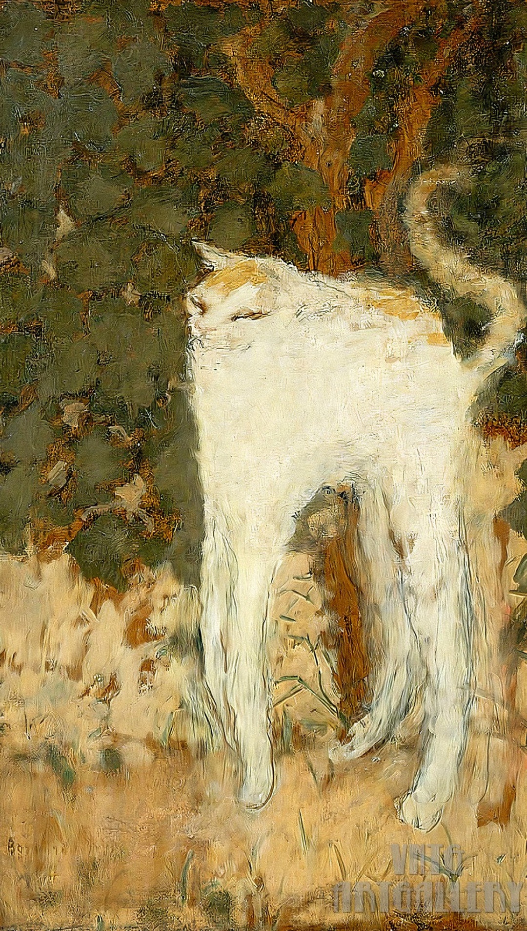 Pierre Bonnard : the White Cat Le Chat Blanc 1894 Canvas Gallery ...