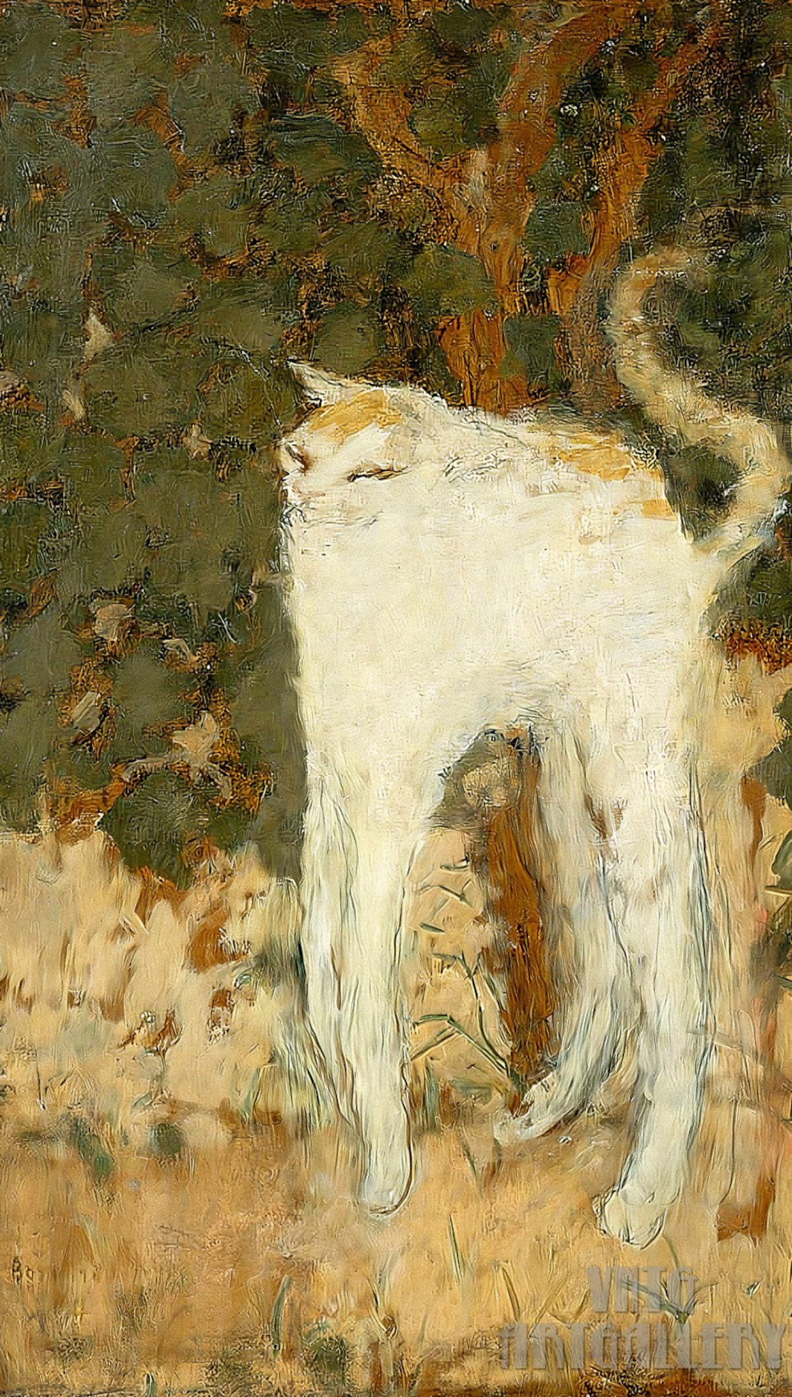 Pierre Bonnard : the White Cat Le Chat Blanc 1894 Canvas - Etsy