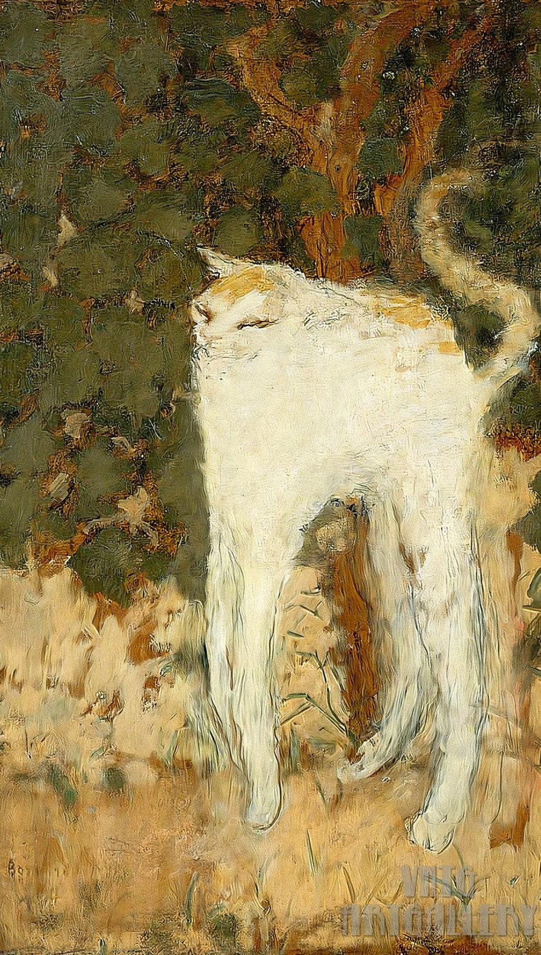 Pierre Bonnard : the White Cat Le Chat Blanc (1894) Canvas Gallery ...
