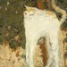 Pierre Bonnard : the White Cat Le Chat Blanc (1894) Canvas Gallery ...