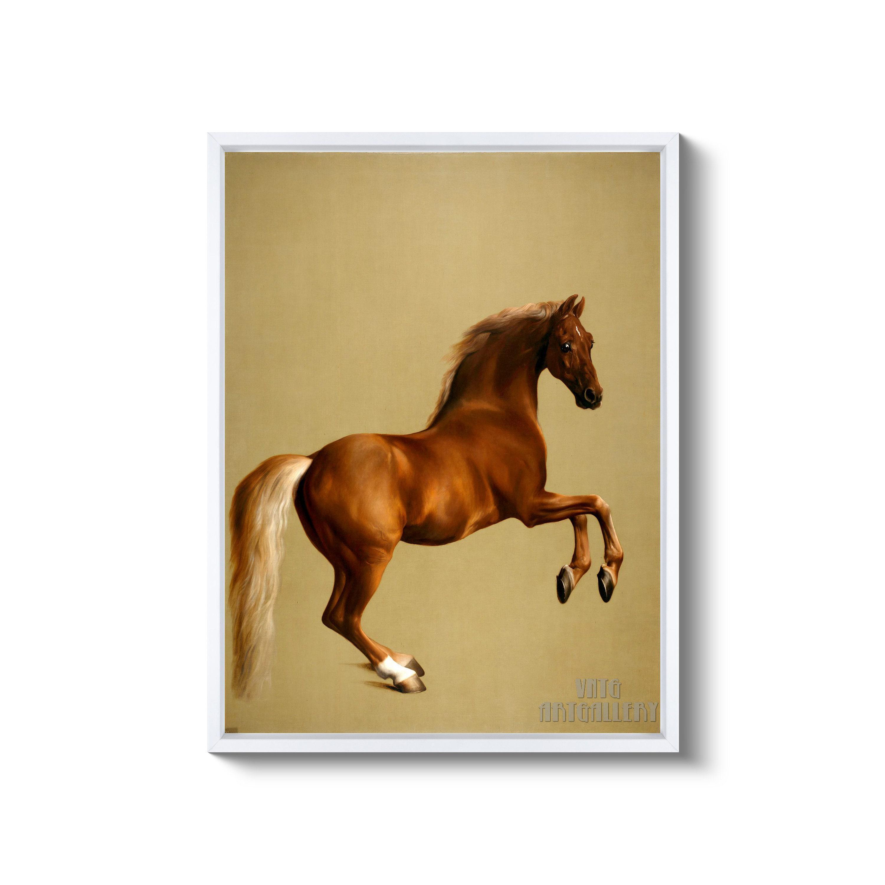 George Stubbs : Whistlejacket (1762) Canvas Gallery Wrapped or Framed ...