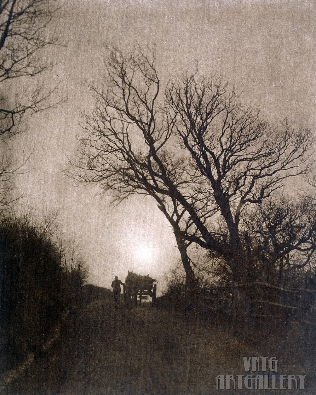 Frank Meadow Sutcliffe : November c1890 Canvas Gallery Wrapped or ...