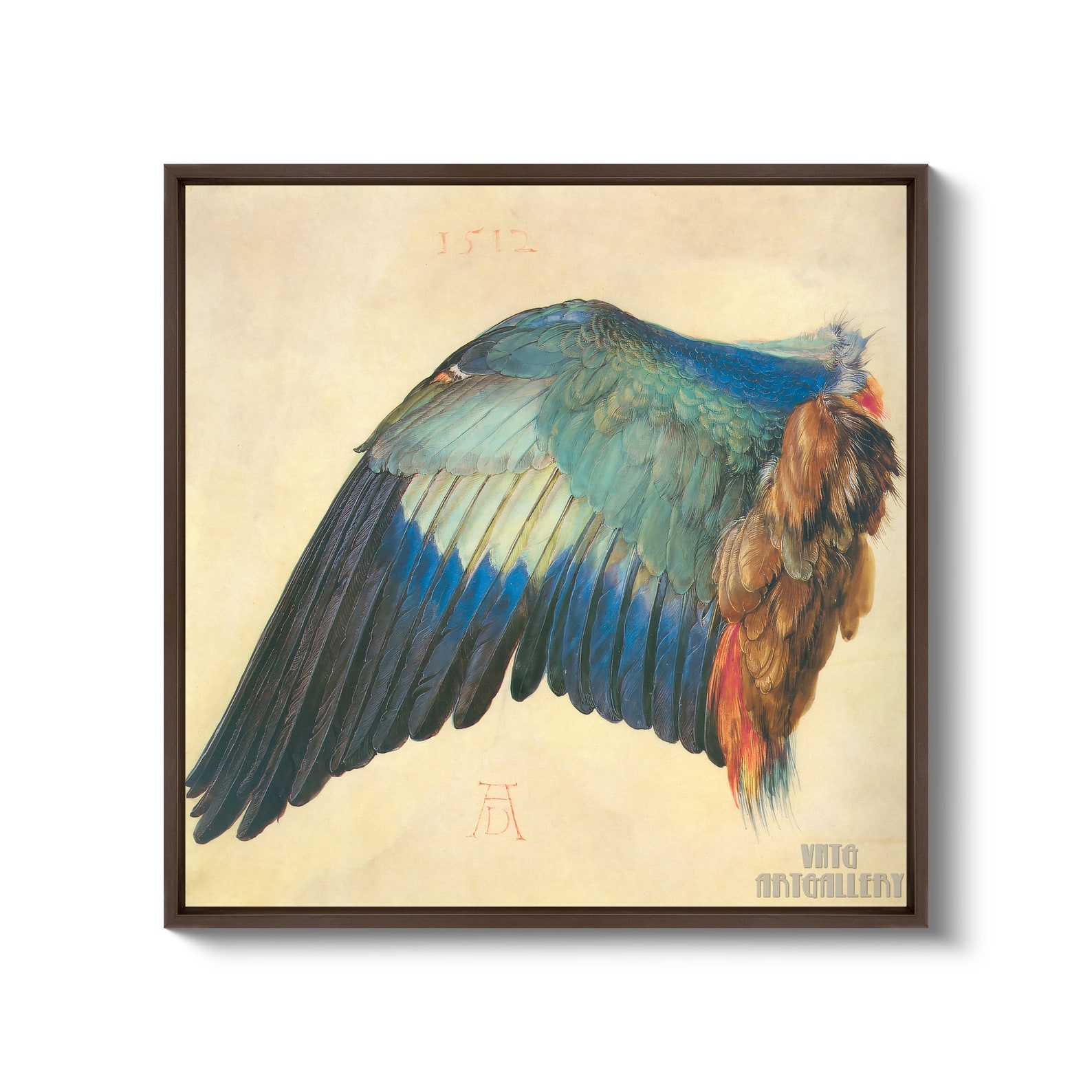 Albrecht Dürer : Wing of a Blue Roller 1512 Canvas Gallery - Etsy