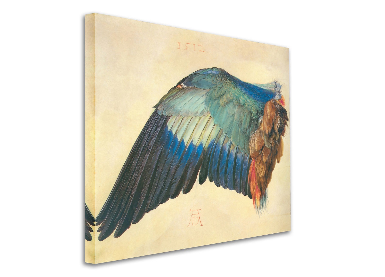 Albrecht Dürer : Wing of a Blue Roller 1512 Canvas Gallery - Etsy