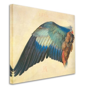 Albrecht Dürer : Wing of a Blue Roller 1512 Canvas Gallery Wrapped or ...