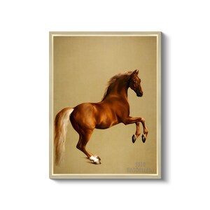 George Stubbs : Whistlejacket 1762 Canvas Gallery Wrapped or Framed ...