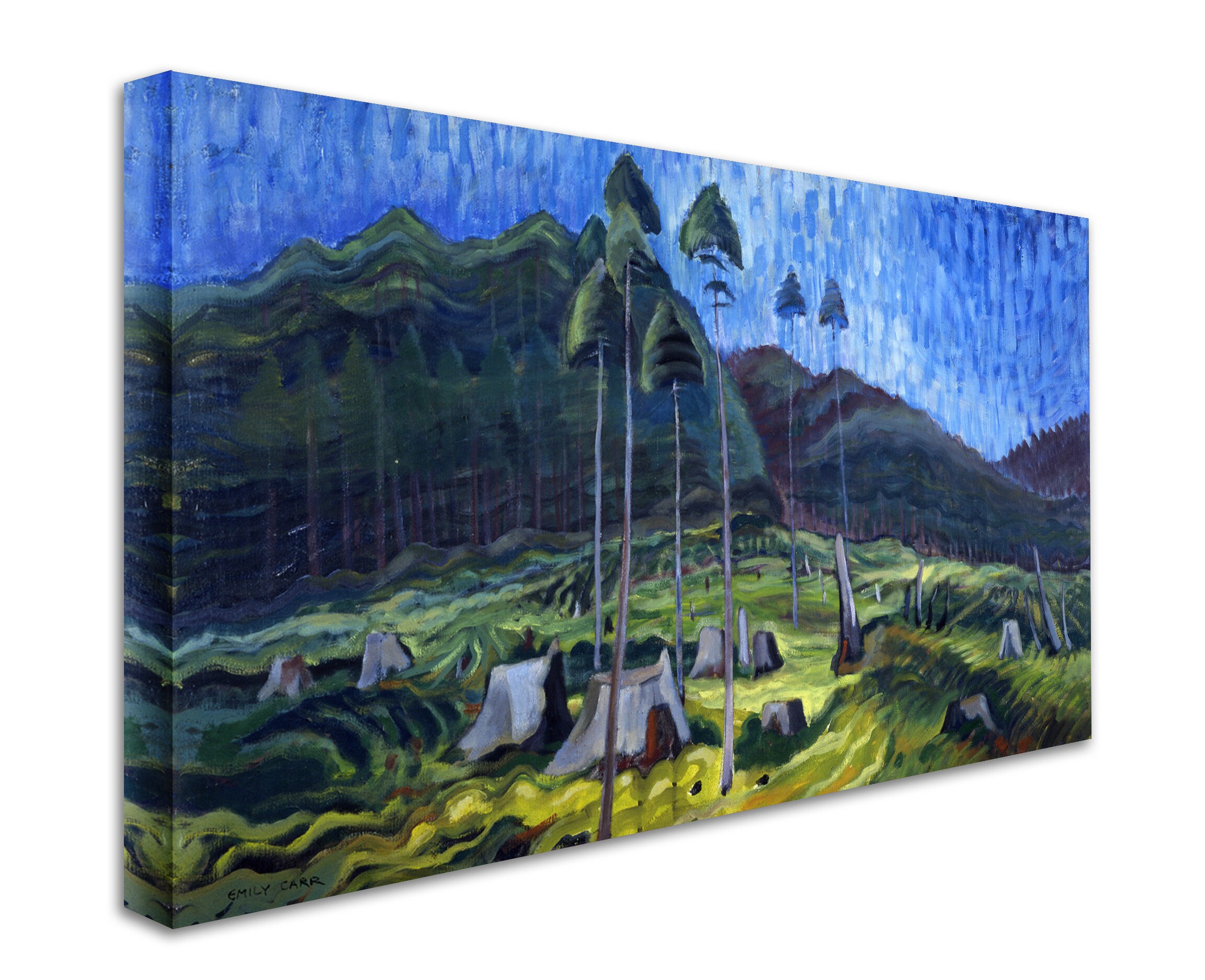 Emily Carr : Odds and Ends 1939 Canvas Gallery Wrapped | Etsy Emily Carr : Odds and Ends 1939 Canvas Gallery Wrapped | Etsy