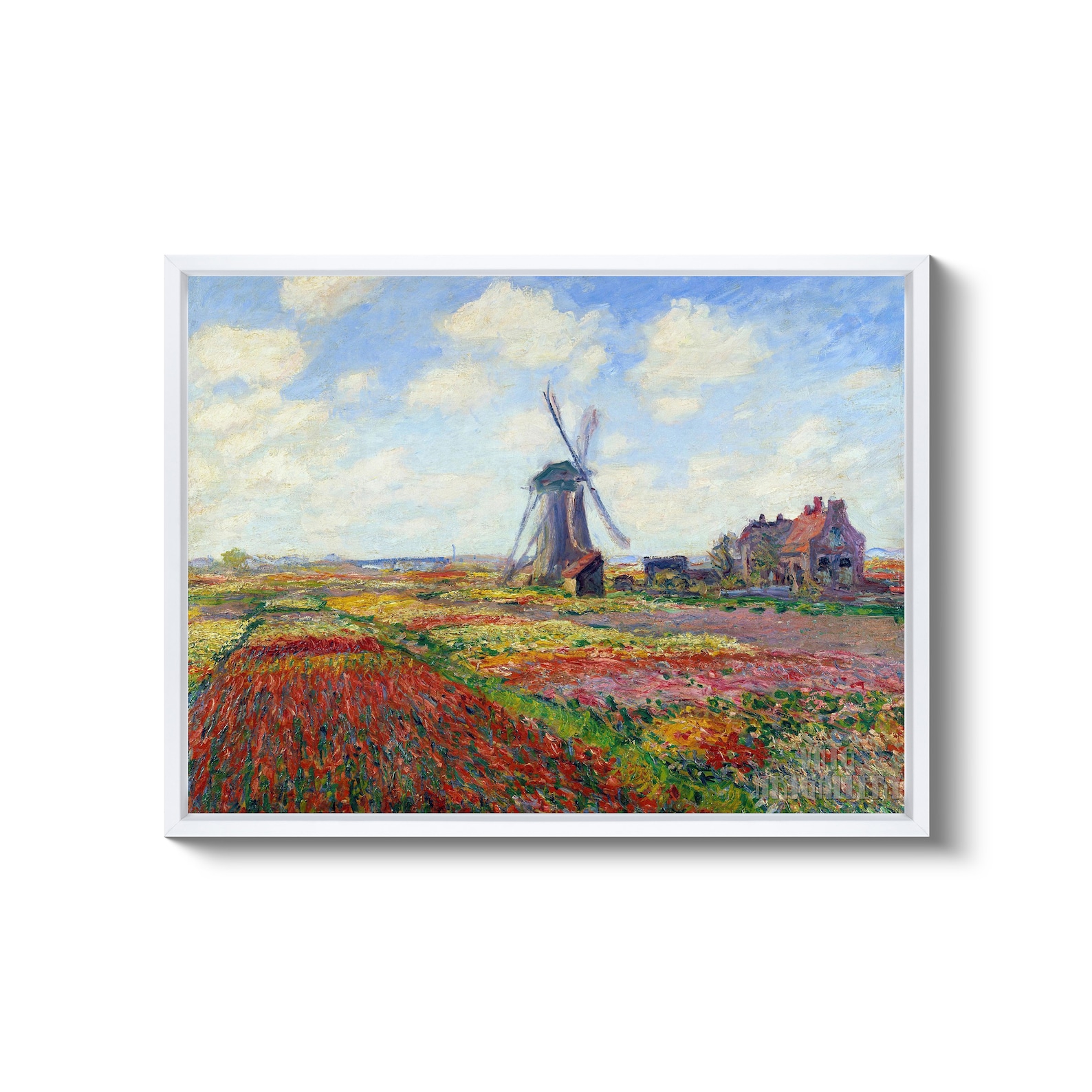 Claude Monet : Tulips of Holland 1886 Canvas Gallery Wrapped or Framed ...