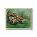 Vincent Van Gogh : A Crab on Its Back (1887) Canvas Gallery Wrapped or ...
