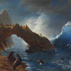 Albert Bierstadt : Seals on the Rocks (1873) Canvas Gallery Wrapped or ...