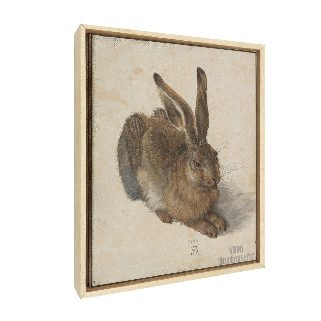 Albrecht Dürer : Young Hare 1502 Canvas Gallery Wrapped or Framed ...