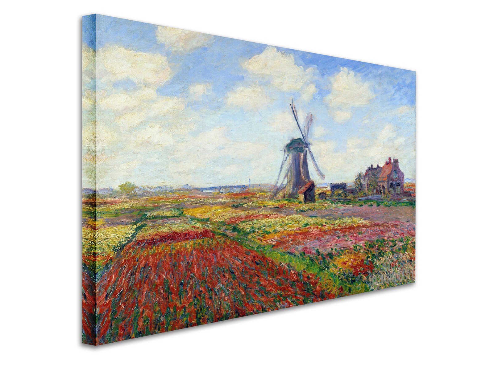 Claude Monet : Tulips of Holland 1886 Canvas Gallery Wrapped or Framed ...