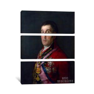 Francisco Goya : Portrait of the Duke of Wellington (1812) Canvas ...