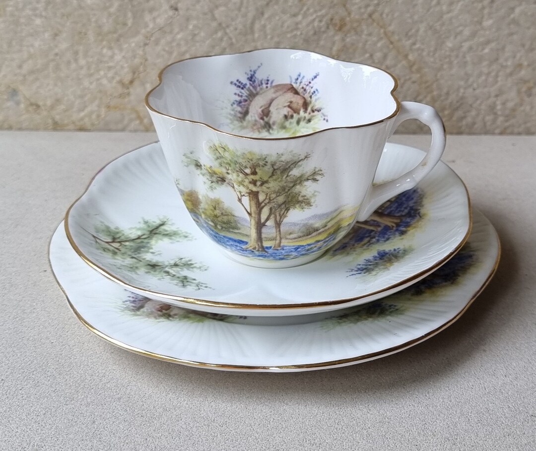 Rare Vintage Shelley Bluebell Wood 14286 Fine Bone China Dainty Trio ...