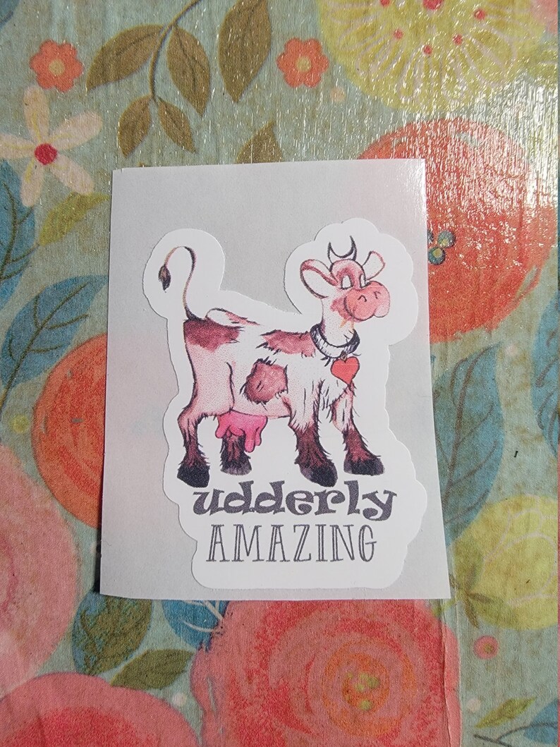 Variety Sticker 5 Pack - Etsy