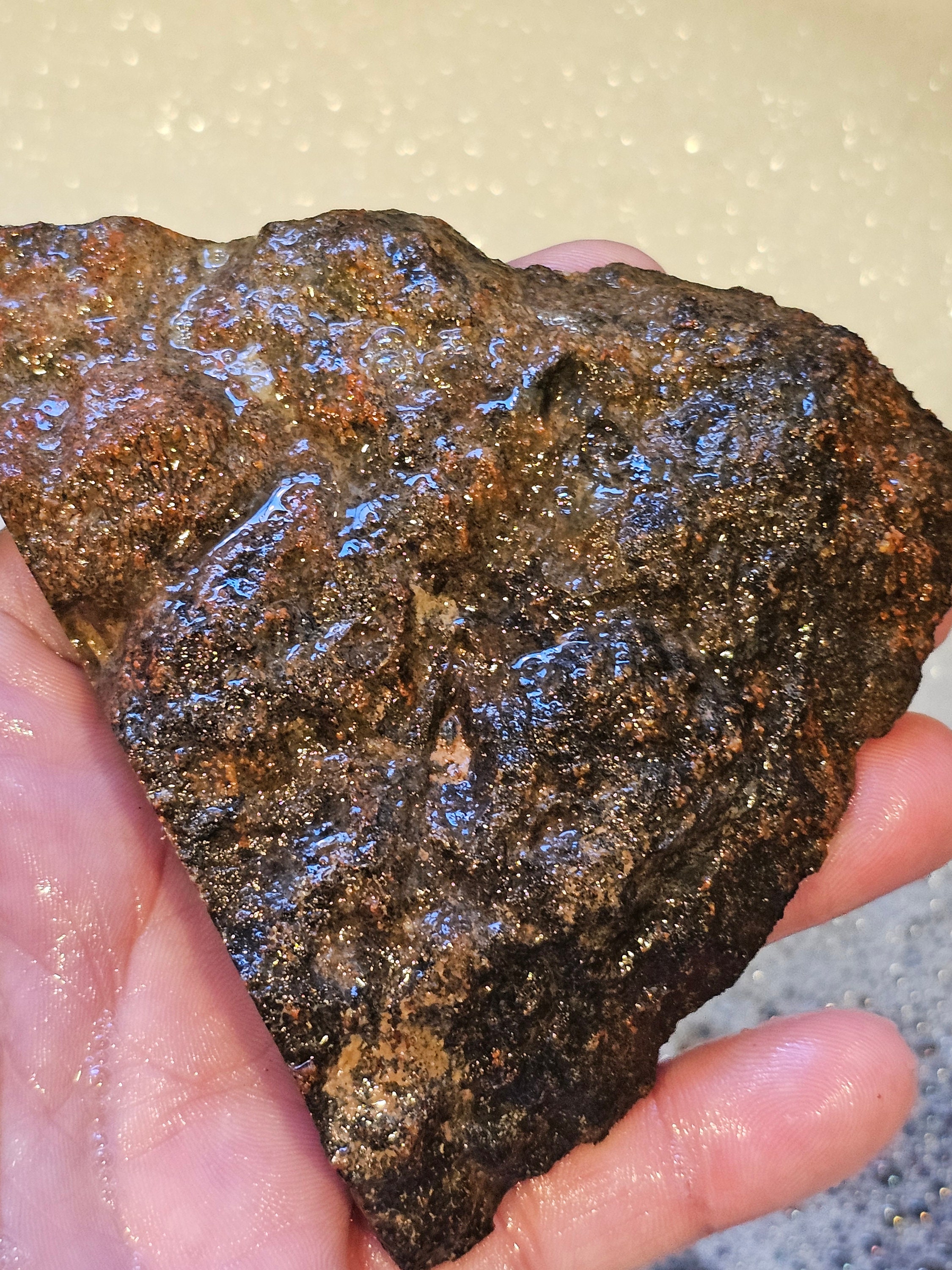 Dinosaur Gembone, Dino Bone, Dinosaur Bone, Big Slab. 219 Grams. DB4 - Etsy