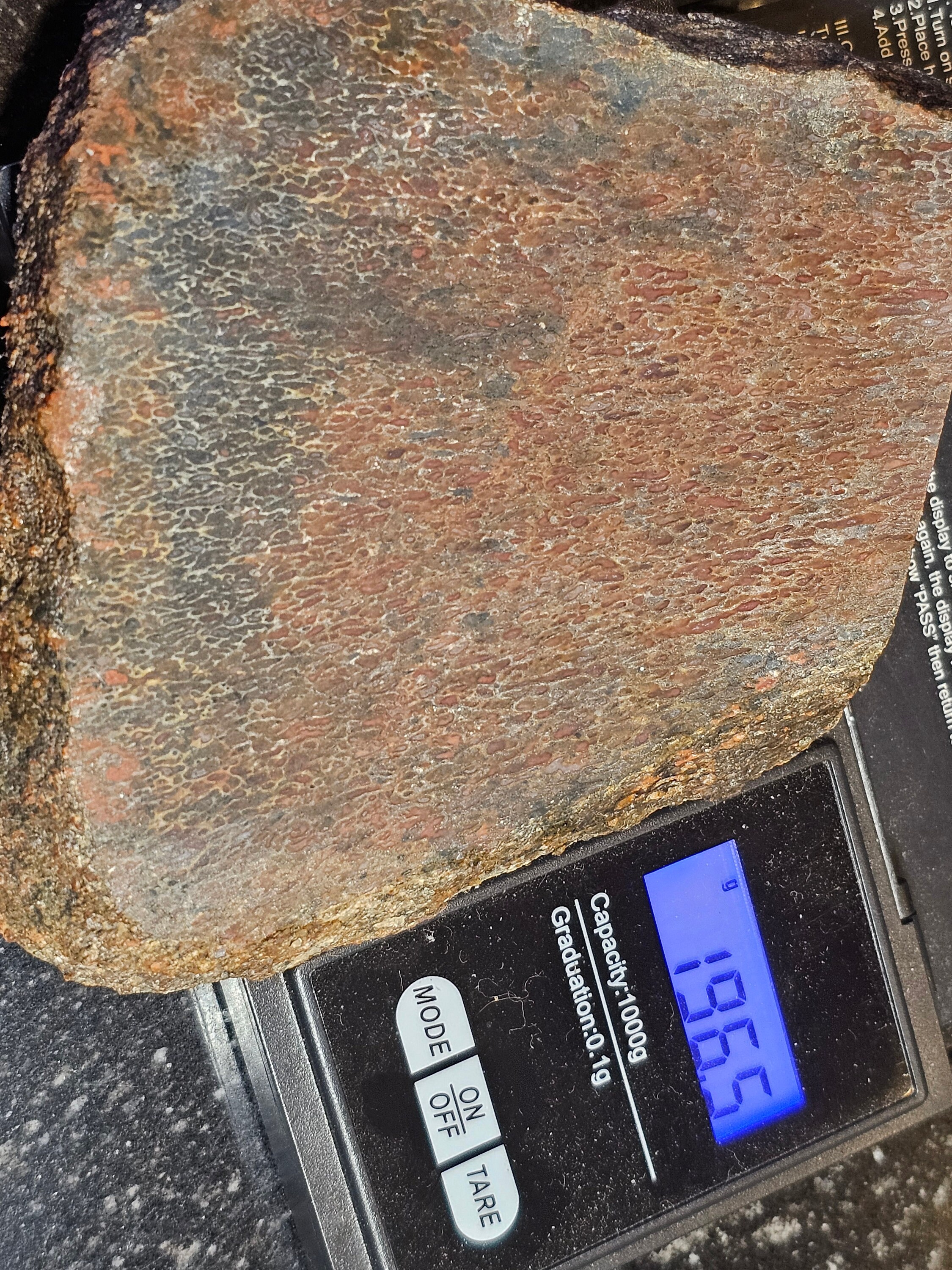 Dinosaur Gembone, Dino Bone, Dinosaur Bone, Big Slab. 196 Grams. DB3 - Etsy