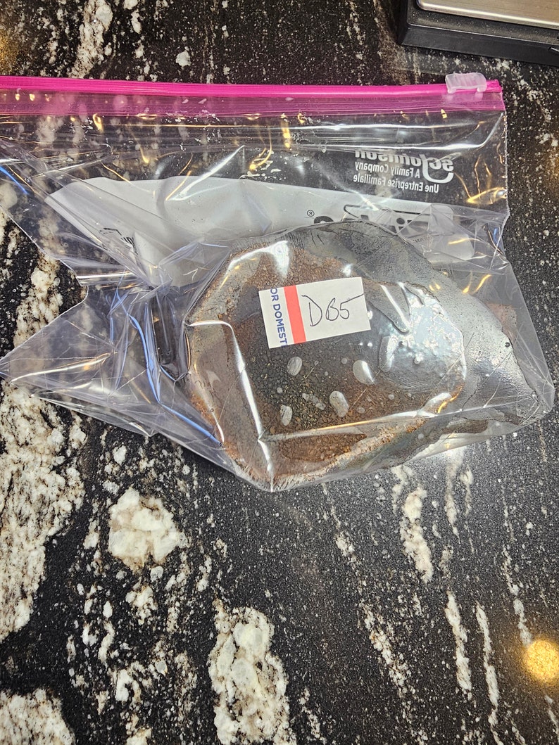 Dinosaur Gembone, Variety 5 Pieces of Dino Bone, Dinosaur Bone, 445 ...