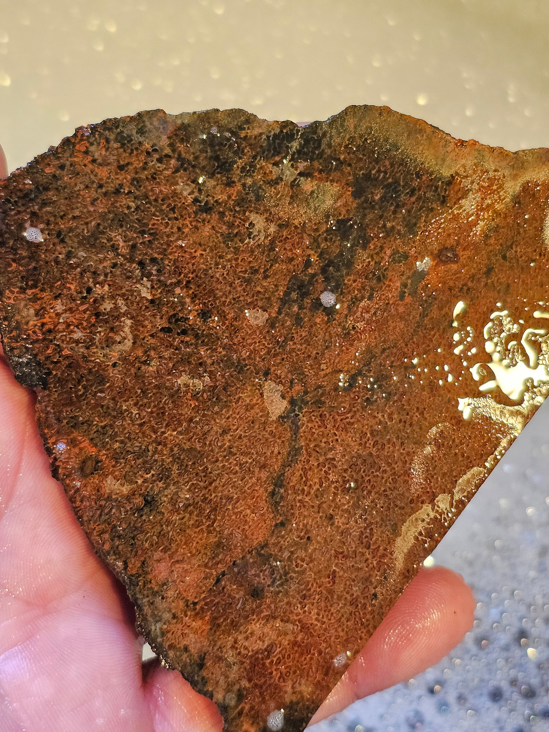 Dinosaur Gembone, Dino Bone, Dinosaur Bone, Big Slab. 219 Grams. DB4 - Etsy