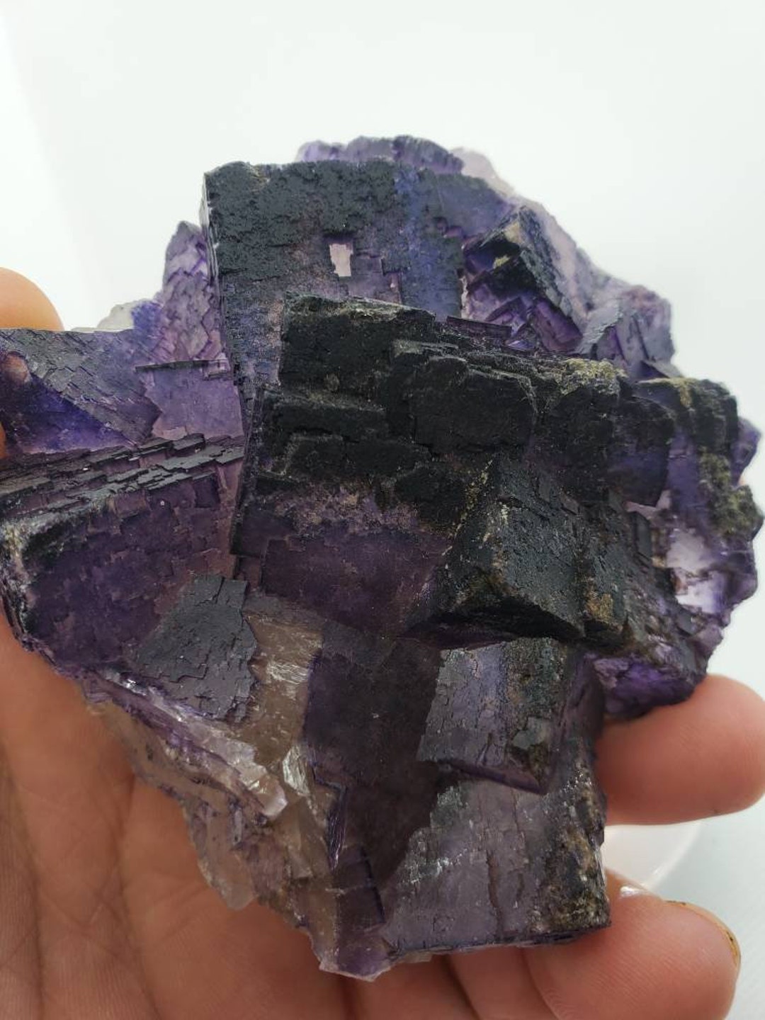 Beautiful Zoned Purple Fluorite, Denton Mine Cave in Rock, Hardin ...