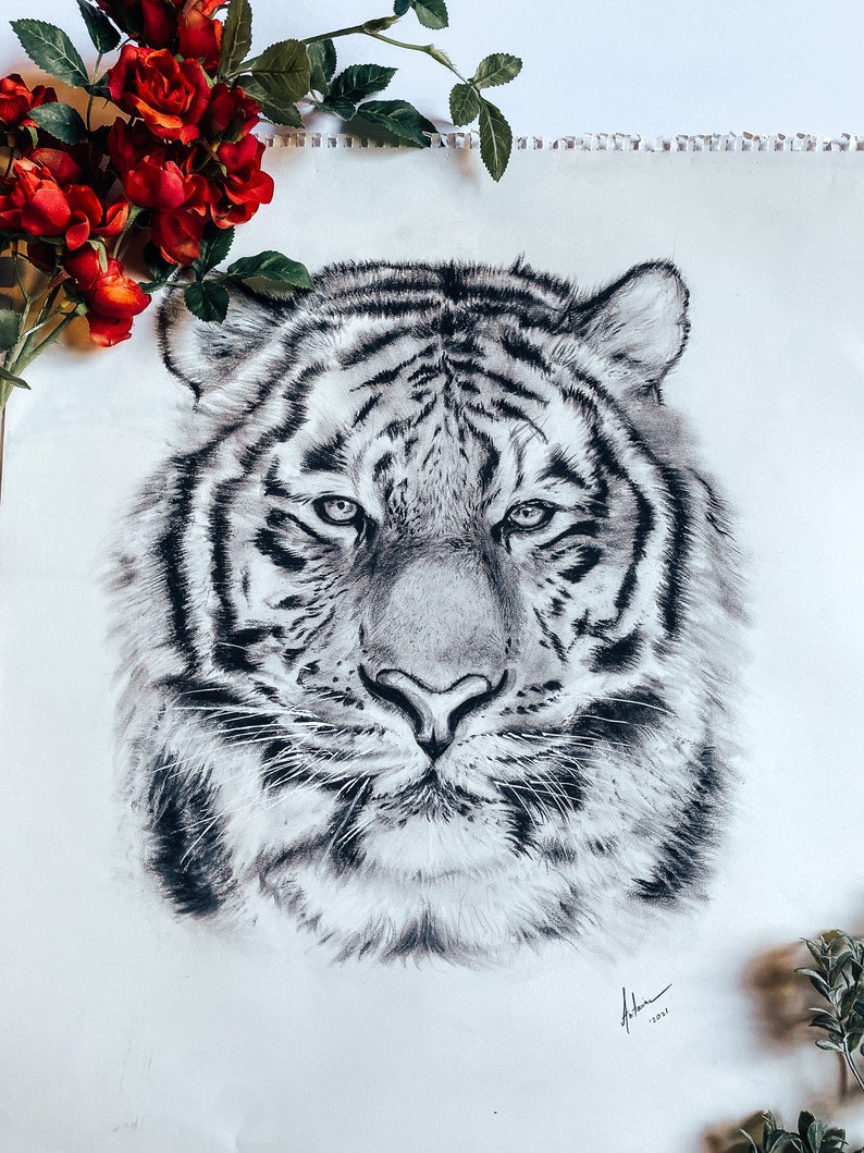 ORIGINAL 'tiger' Charcoal Drawing on Paper - Etsy