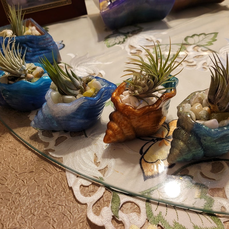 Conch Shell Planter - Etsy