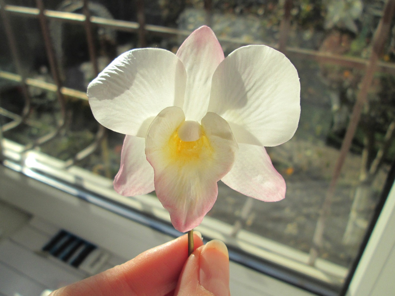 Dendrobium Orchid Hair Pin - Real Touch Orchid Wedding Hair Clips ...