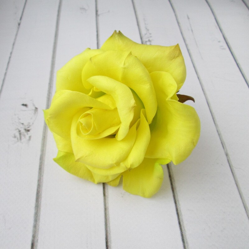 Yellow Rose Pin - Etsy